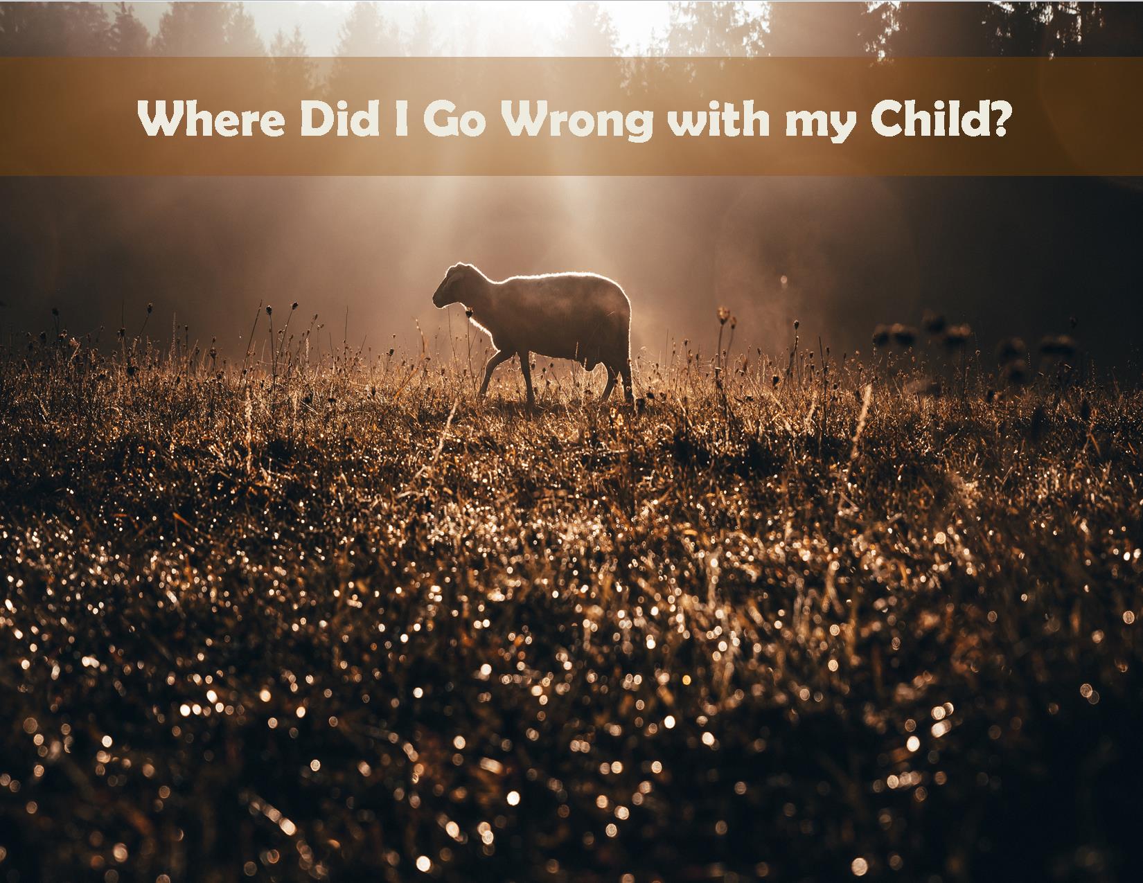 Where Did I Go Wrong? - Pete Thompson Christian Counseling